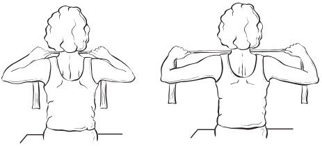 General Exercise Program: Level 2 | Memorial Sloan Kettering Cancer Center