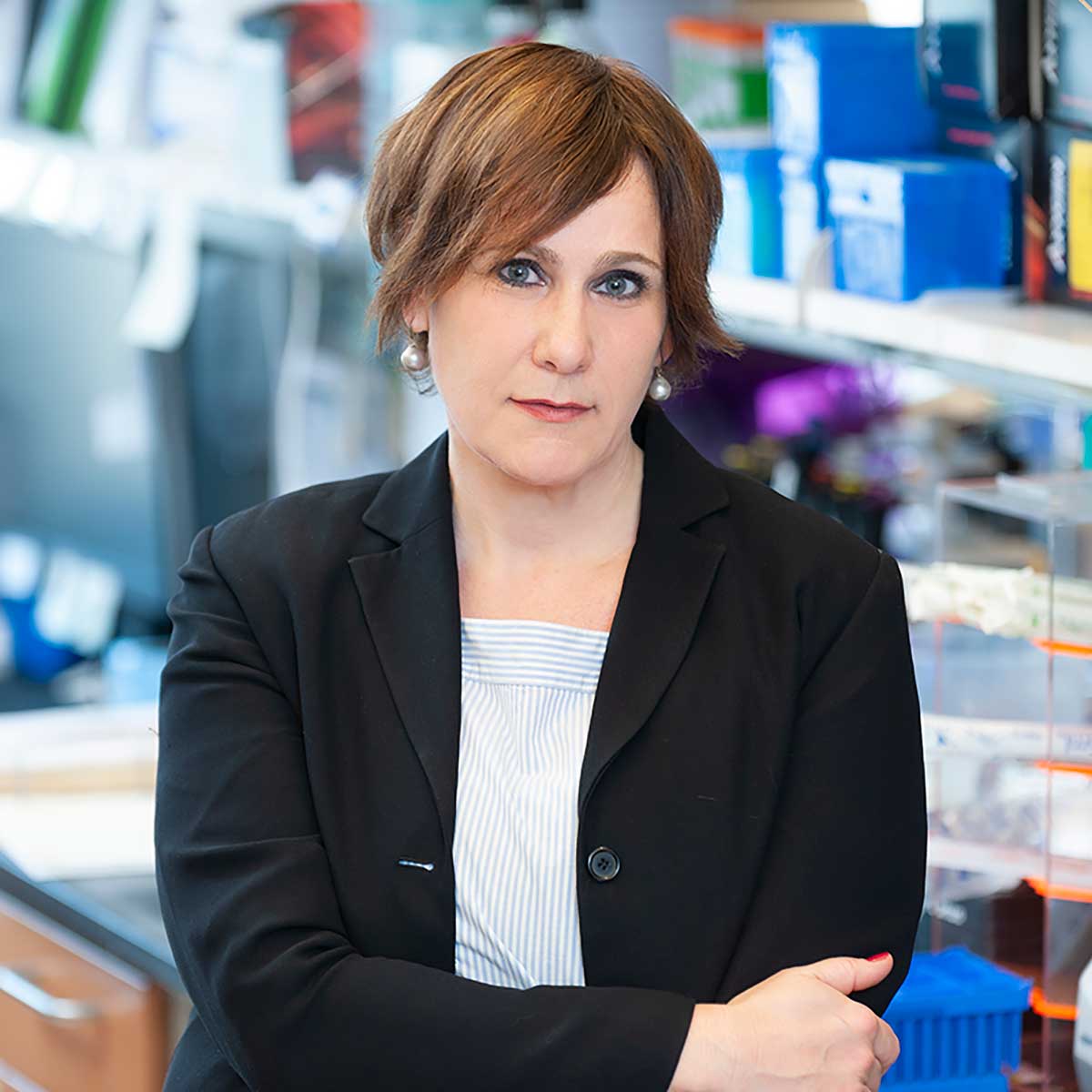 Kravis WiSE Symposium 2023 | Memorial Sloan Kettering Cancer Center