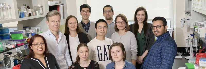 Cell Biology Program | Sloan Kettering Institute