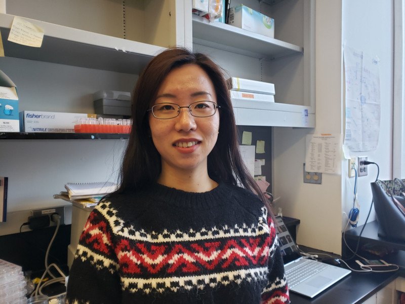 Nanfang Peng | Sloan Kettering Institute