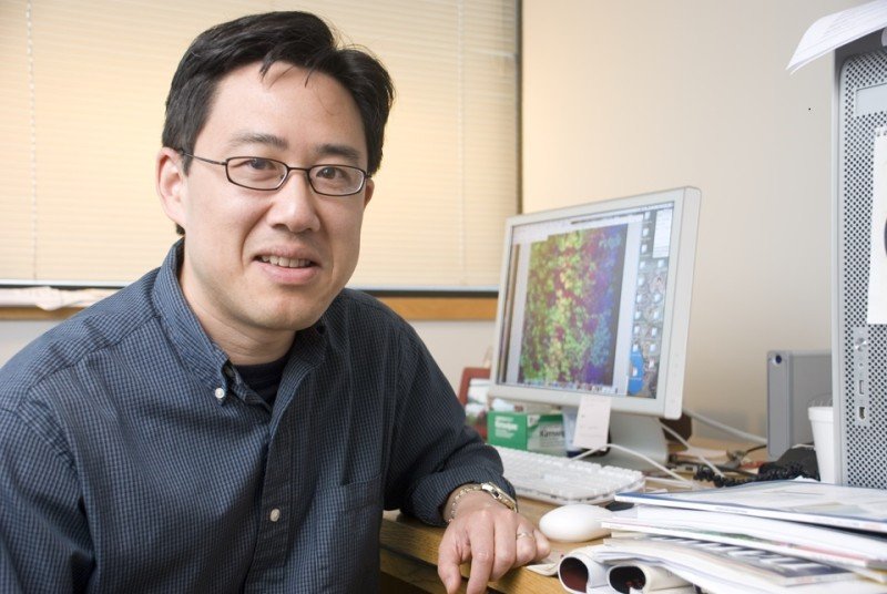 Lan Xu | Sloan Kettering Institute