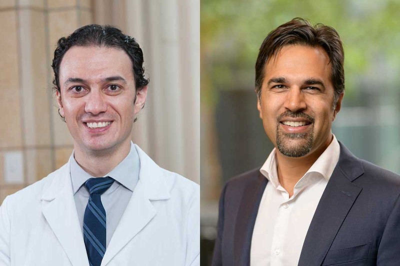 MSK Team Focuses on Resistance to Immunotherapy in Ovarian Cancer ...