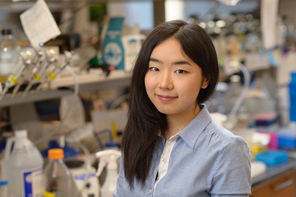 The Ping Chi Lab: Yuedan Chen | Memorial Sloan Kettering Cancer Center