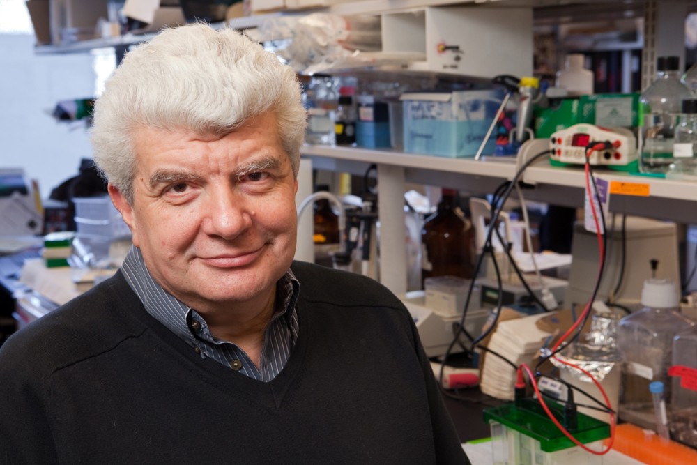 Thyroid Cancer Diagnosis | Memorial Sloan Kettering Cancer Center