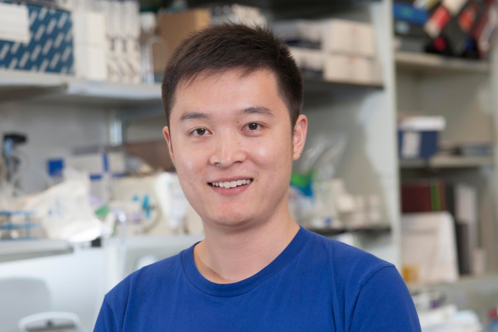 Qing He | Sloan Kettering Institute