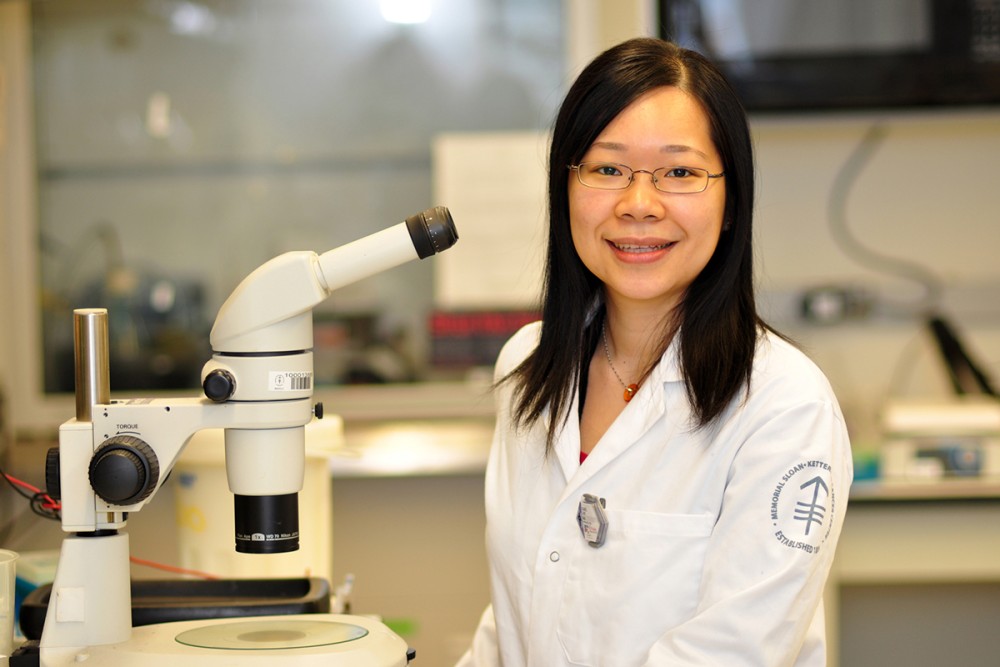 Gerstner Sloan Kettering 2016 Candidates Successfully Defend ...