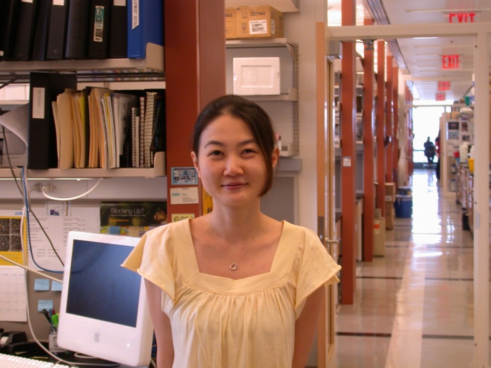Mi Young Kim | Sloan Kettering Institute