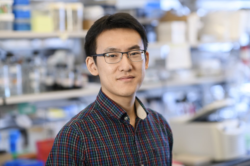 Zhenghan Wang | Sloan Kettering Institute
