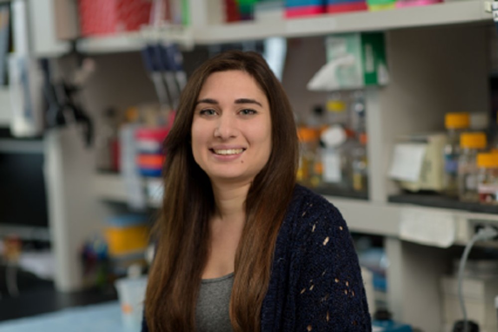 Claire Simon | Sloan Kettering Institute