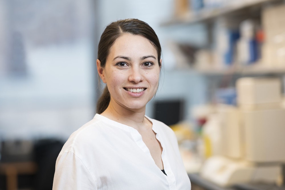 Kattria van der Ploeg | Sloan Kettering Institute