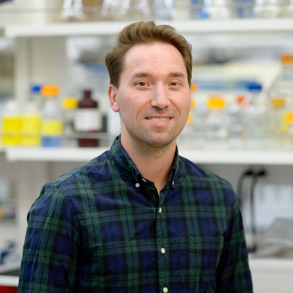 Daniel Ball | Sloan Kettering Institute