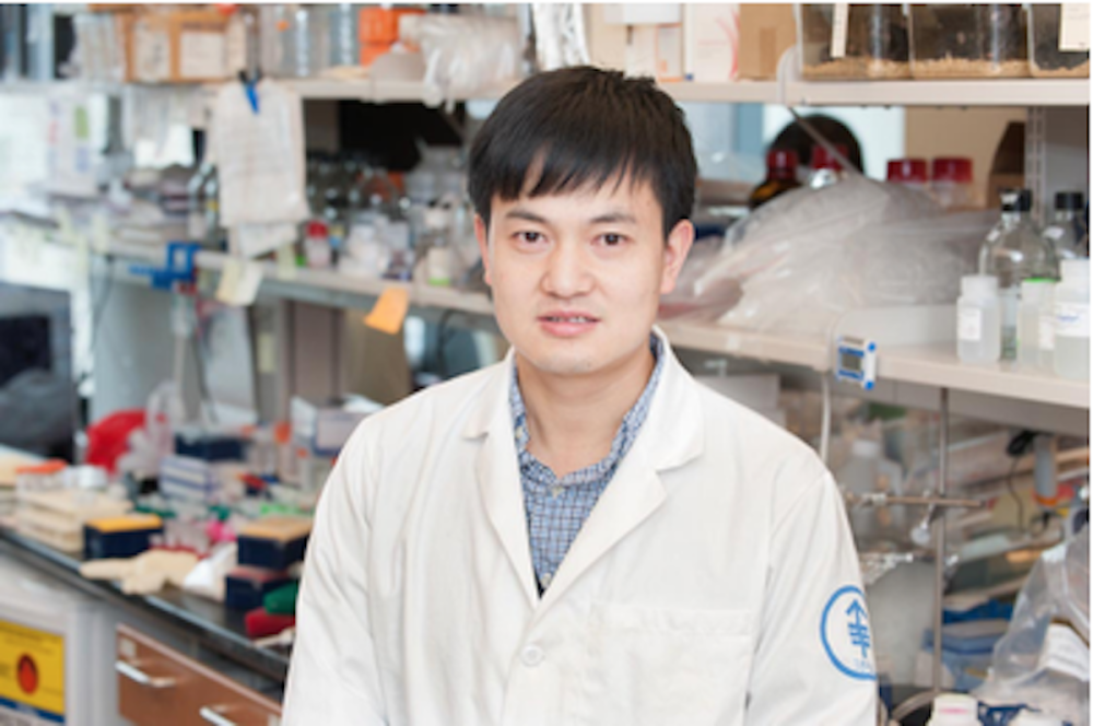 Shun Li | Sloan Kettering Institute