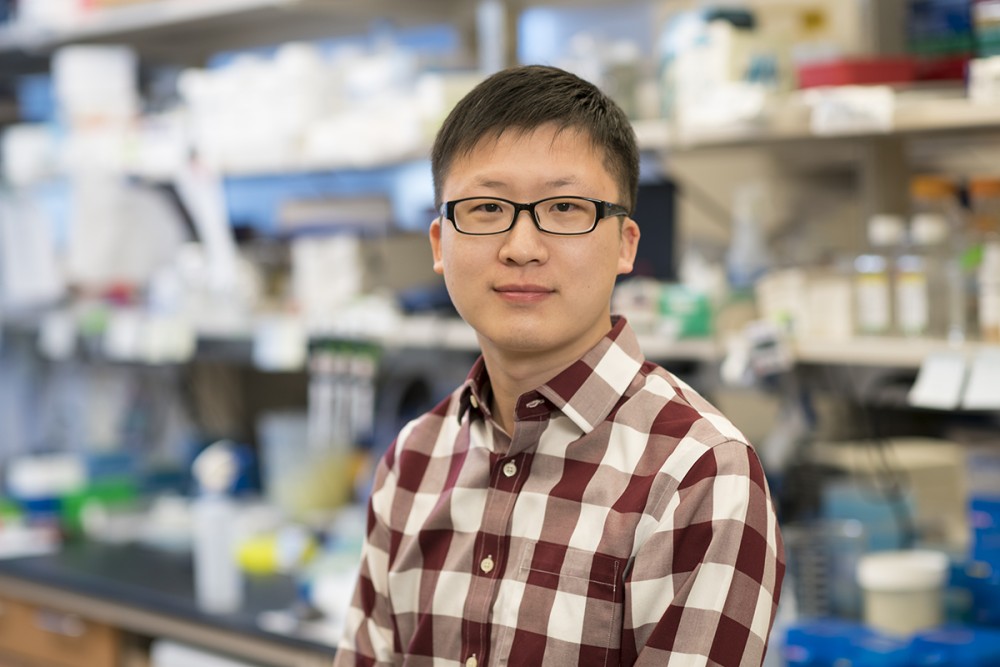 Yu-Jui (Ray) Ho | Sloan Kettering Institute