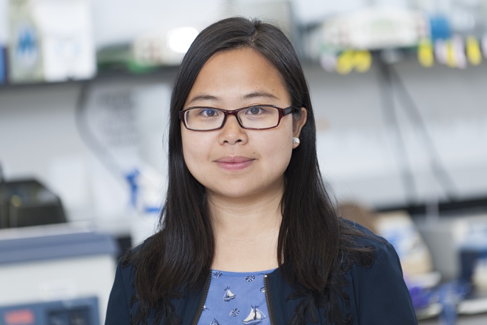 Yan Feng | Sloan Kettering Institute