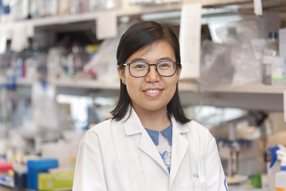 Peng Li | Sloan Kettering Institute
