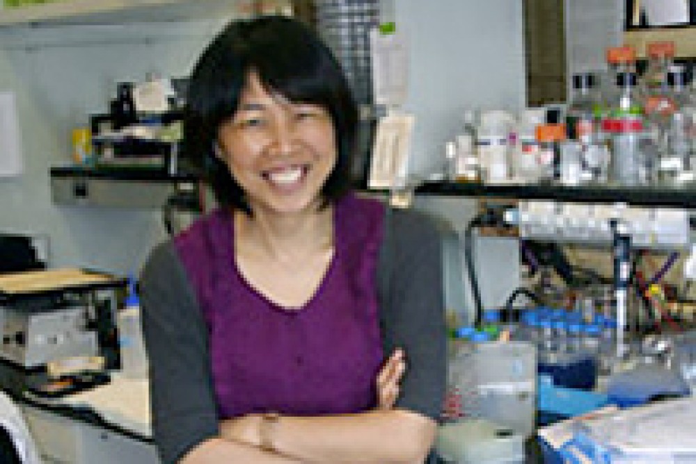 The Samuel Singer Lab: Tomoyo Okada | Memorial Sloan Kettering Cancer ...