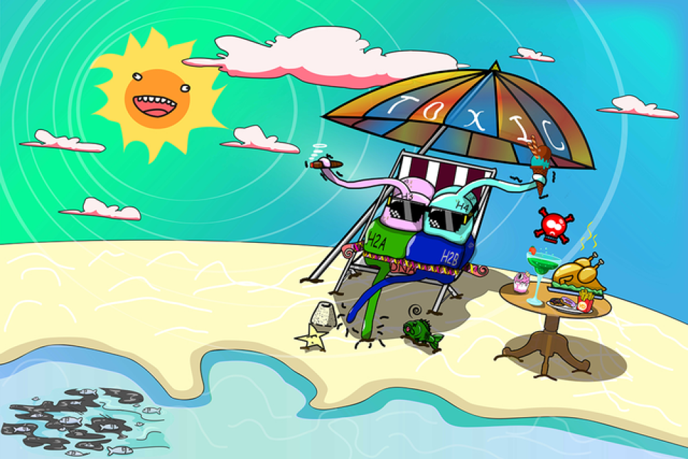 Cellular “Garbage Collectors” Are Key to Cancer’s Growth | Memorial ...