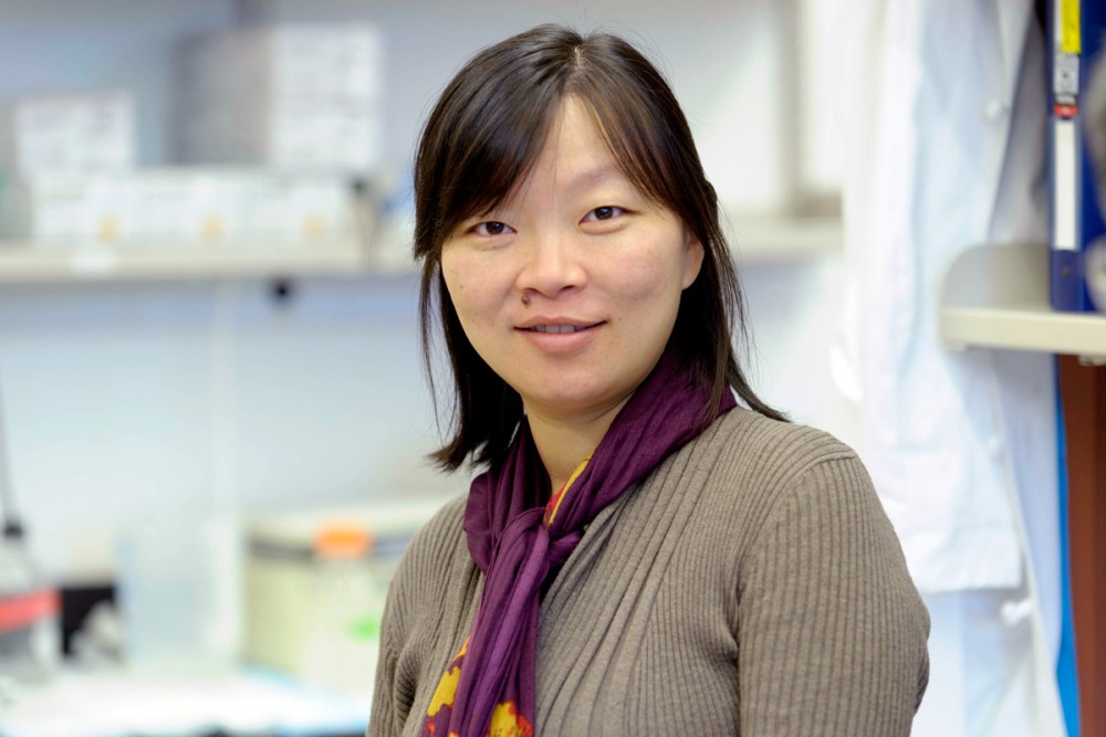 At Work: Physician-Scientist Ping Chi | Memorial Sloan Kettering Cancer Center