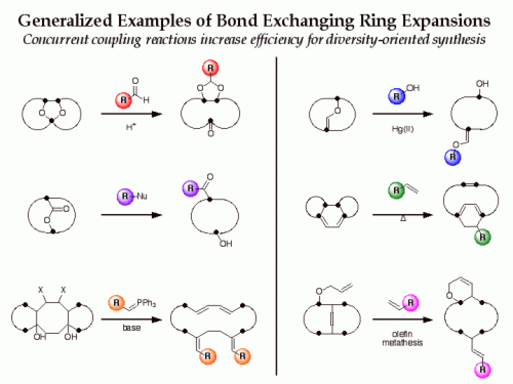 Ring Expansion Approaches to Macrocycle Synthesis | Sloan Kettering ...