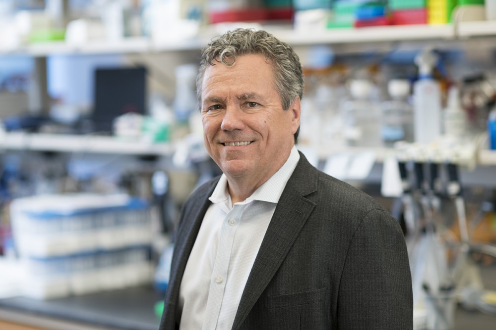 Memorial Sloan Kettering’s Scott Lowe Elected to Prestigious National ...