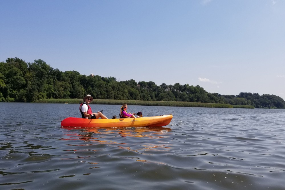 Tan Lab Summer Party 2019 | Sloan Kettering Institute