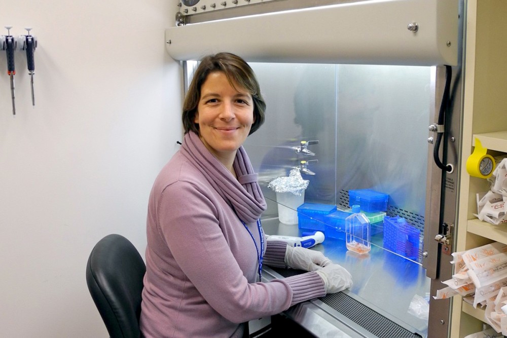 Iris Appelmann | Sloan Kettering Institute