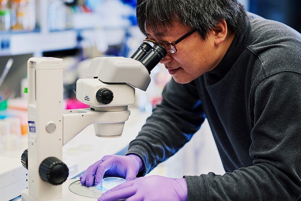 Leukemia in Children | Memorial Sloan Kettering Cancer Center