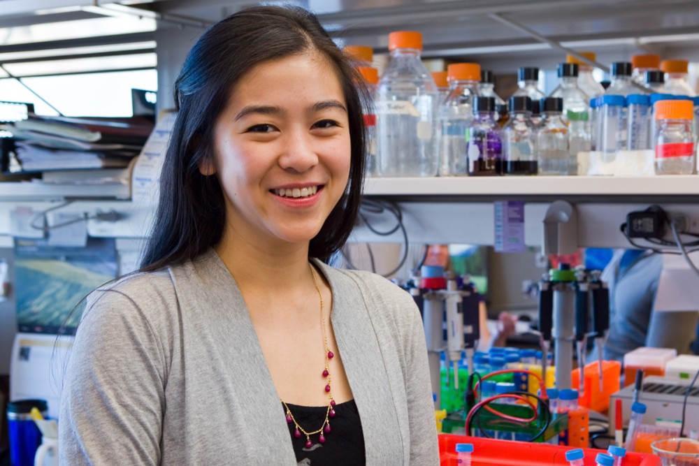 Jennifer Chien | Sloan Kettering Institute