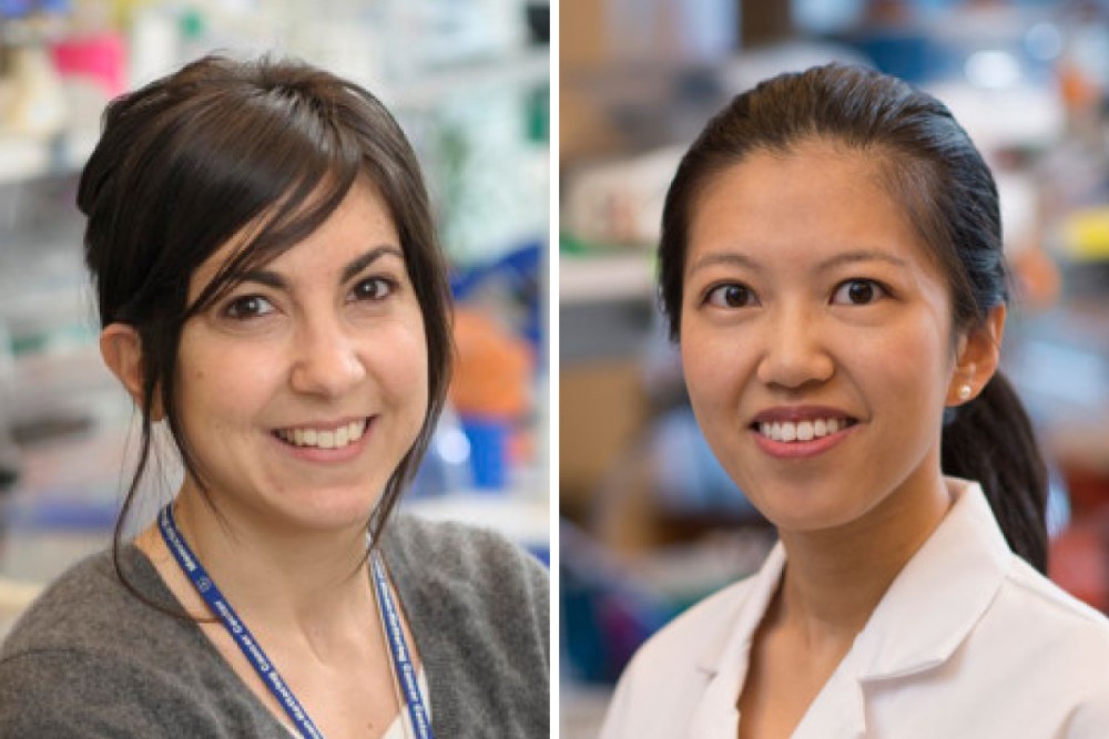 MSK Physician-Scientists Recognized with Top Honors by AACR, ASCO, and ...