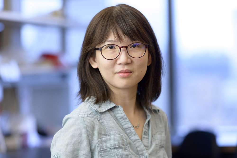 Lin-Chun Chang | Sloan Kettering Institute