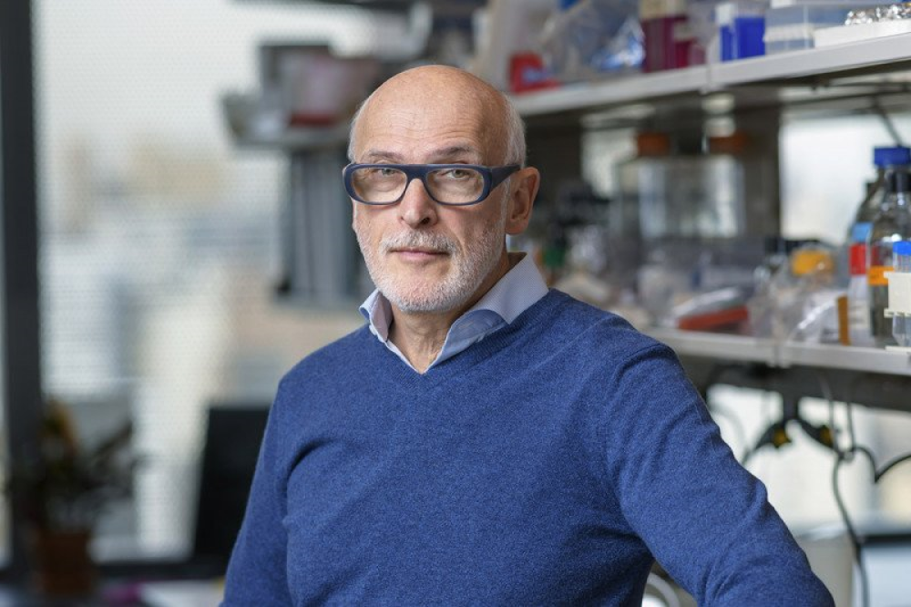 Shining a Spotlight on Pioneering Immunologist, Alexander Rudensky, PhD ...