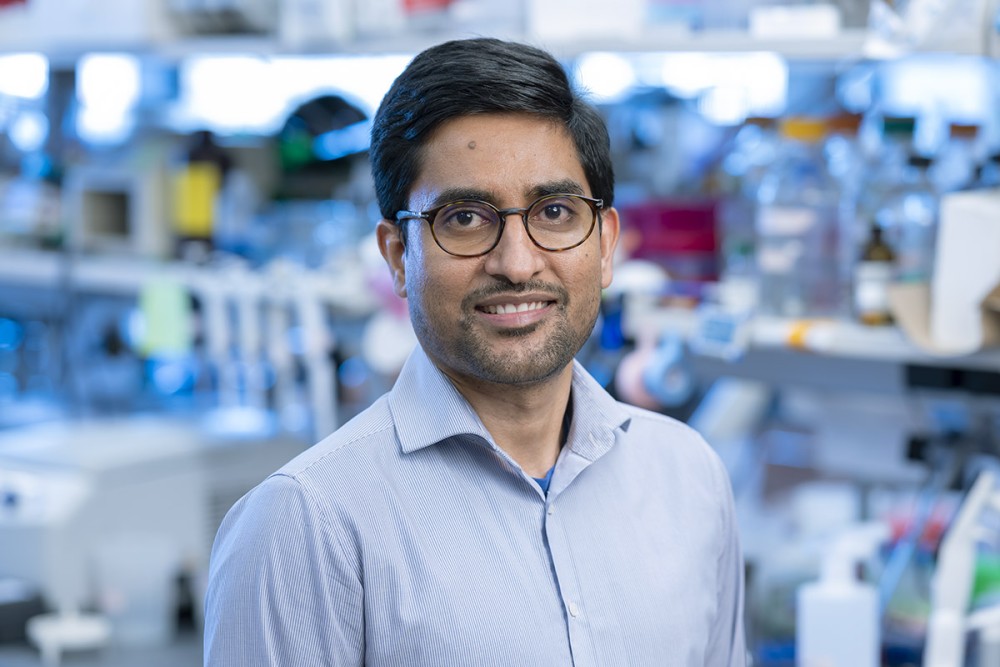 Manish Malviya | Sloan Kettering Institute