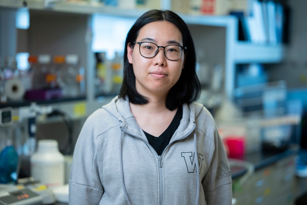 Lingling Cheng | Sloan Kettering Institute