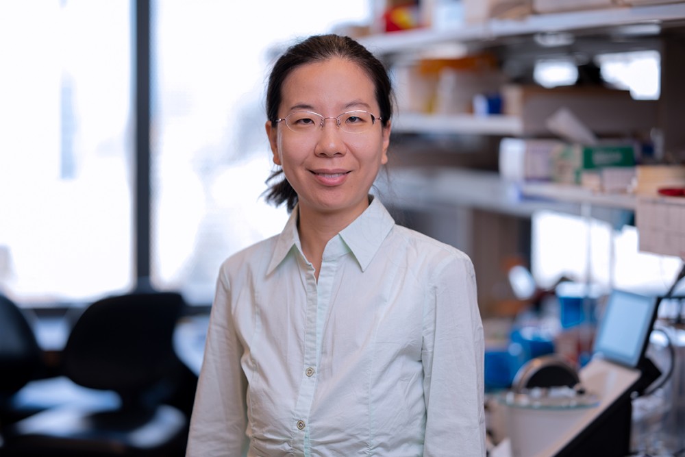 The Kayvan Keshari Lab: Guannan Zhang | Memorial Sloan Kettering Cancer ...