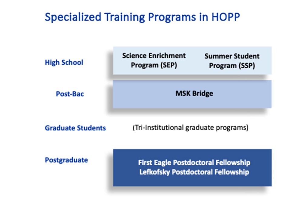 Human Oncology & Pathogenesis Program: Education & Training | Memorial ...