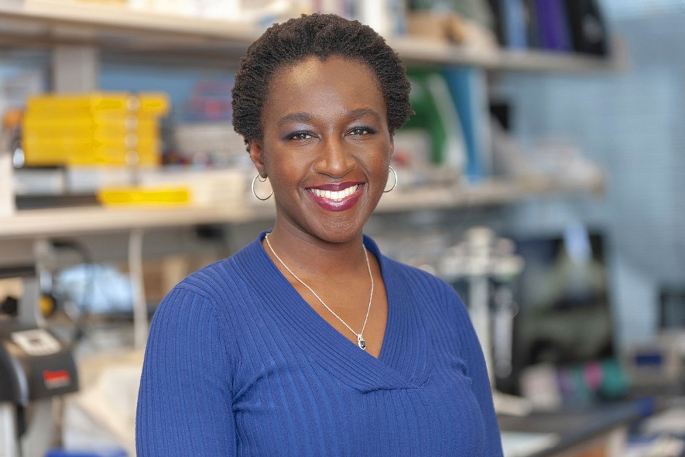 The Andrew Kung Lab: Andoyo Ndengu | Memorial Sloan Kettering Cancer Center