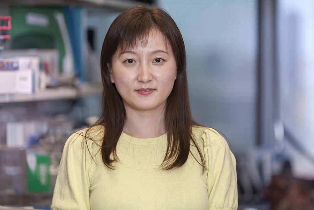 The Andrew Kung Lab: Xinyi Wang | Memorial Sloan Kettering Cancer Center