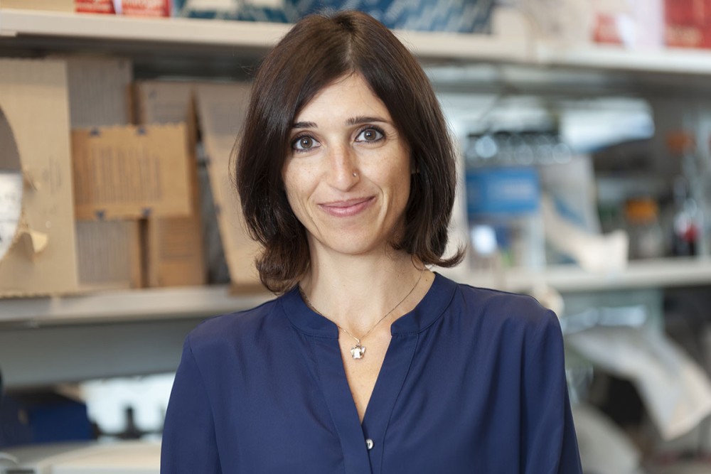Gabriella Casalena | Sloan Kettering Institute