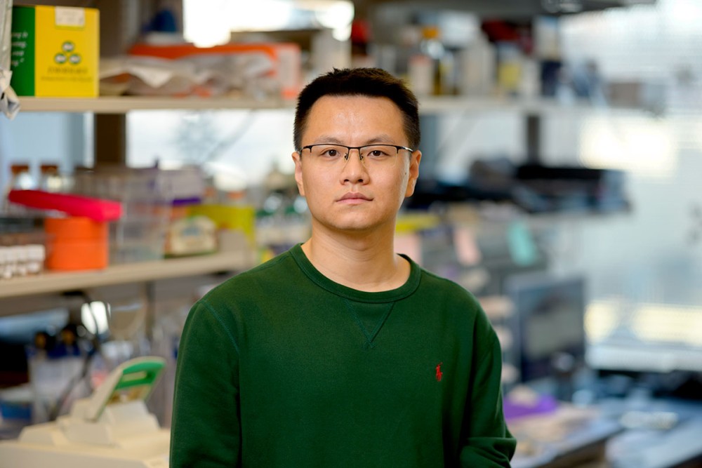 The Piro Lito Lab: Ben Sang, PhD | Memorial Sloan Kettering Cancer Center