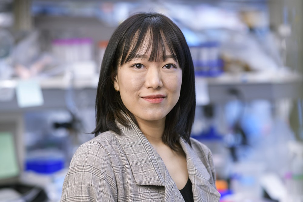 The James Fagin Lab: Tianyue Qin | Memorial Sloan Kettering Cancer Center