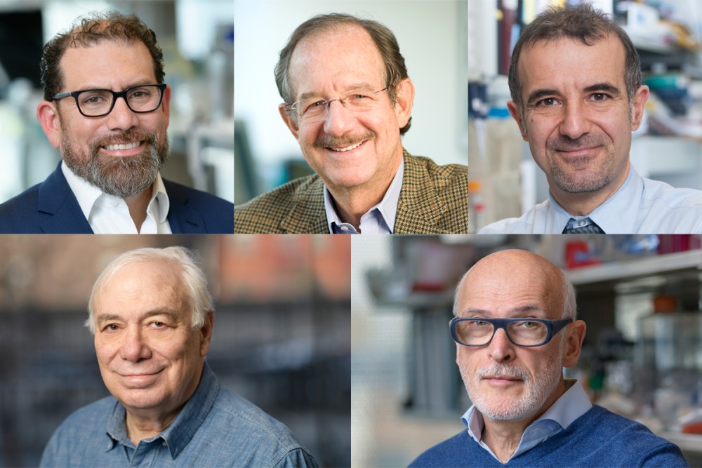 Five Memorial Sloan Kettering Cancer Center Scientific Luminaries ...