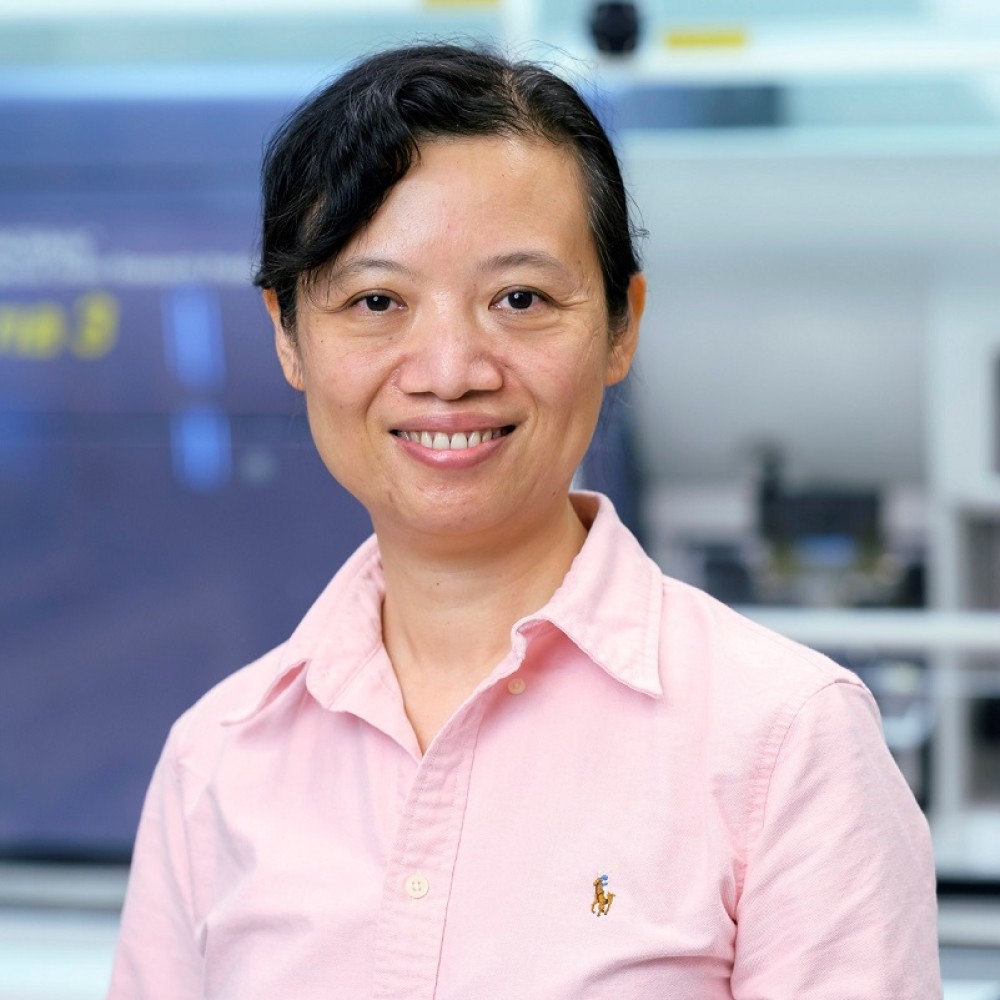 Fang Fang | Sloan Kettering Institute