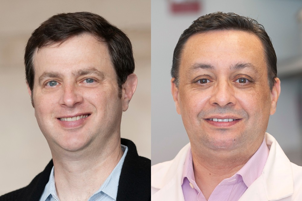 Insights Into Genetic ‘Hotspots’ Could Produce New Cancer Treatment ...