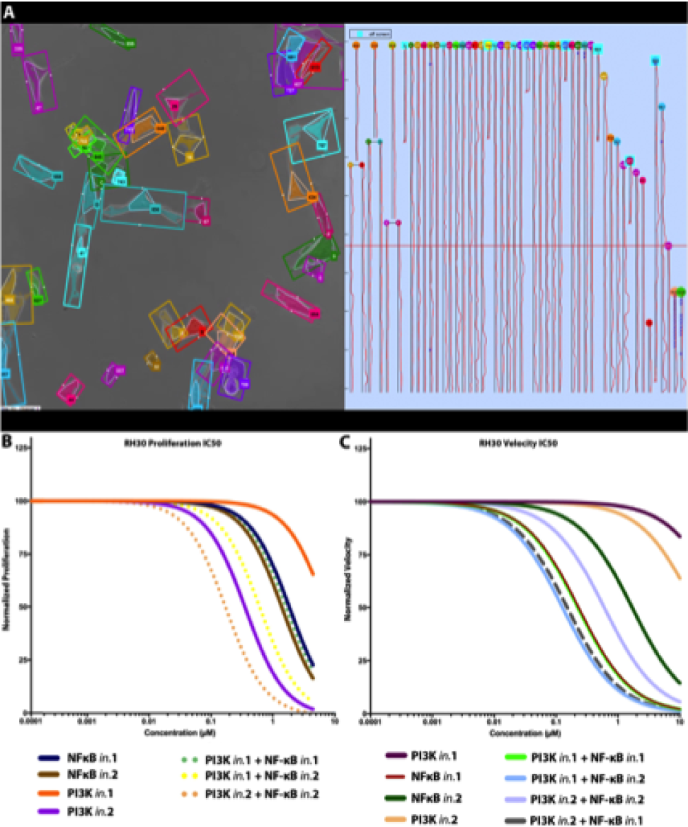 The Alan and Sandra Gerry Metastasis and Tumor Ecosystems Center: Past ...