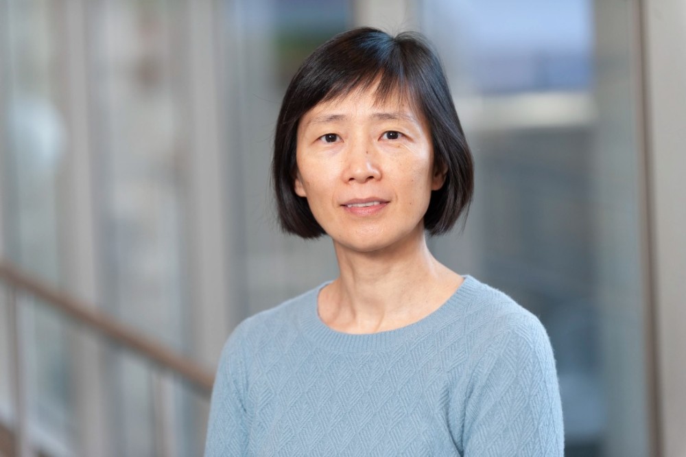 Liping Sun | Sloan Kettering Institute