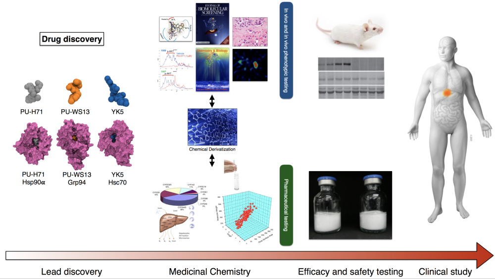 Drug Discovery and Development | Sloan Kettering Institute