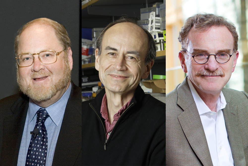 Former Memorial Sloan Kettering Researcher James Rothman Among Nobel ...