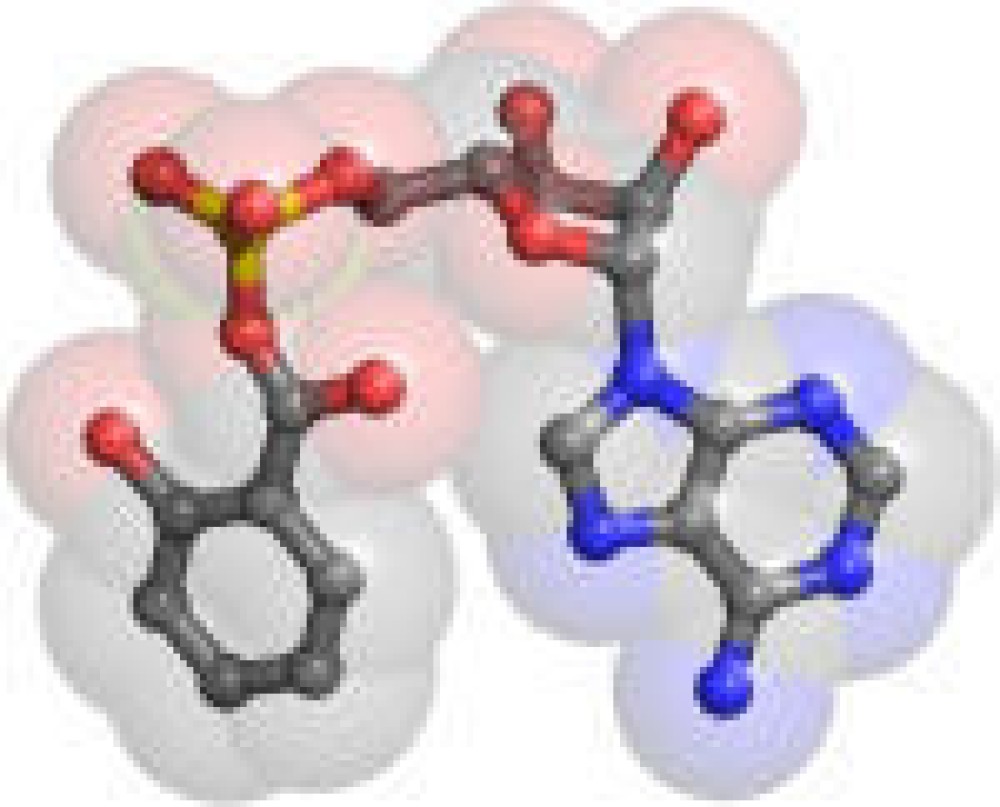 Rational Drug Design of Adenylation Enzyme Inhibitors | Sloan Kettering ...
