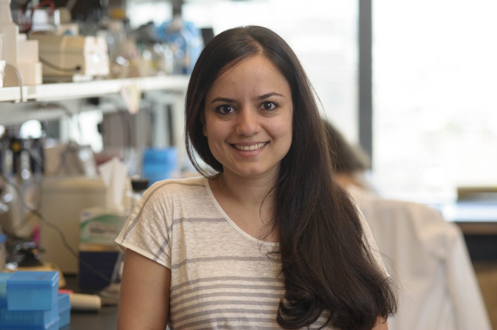 Sara Parsa | Sloan Kettering Institute