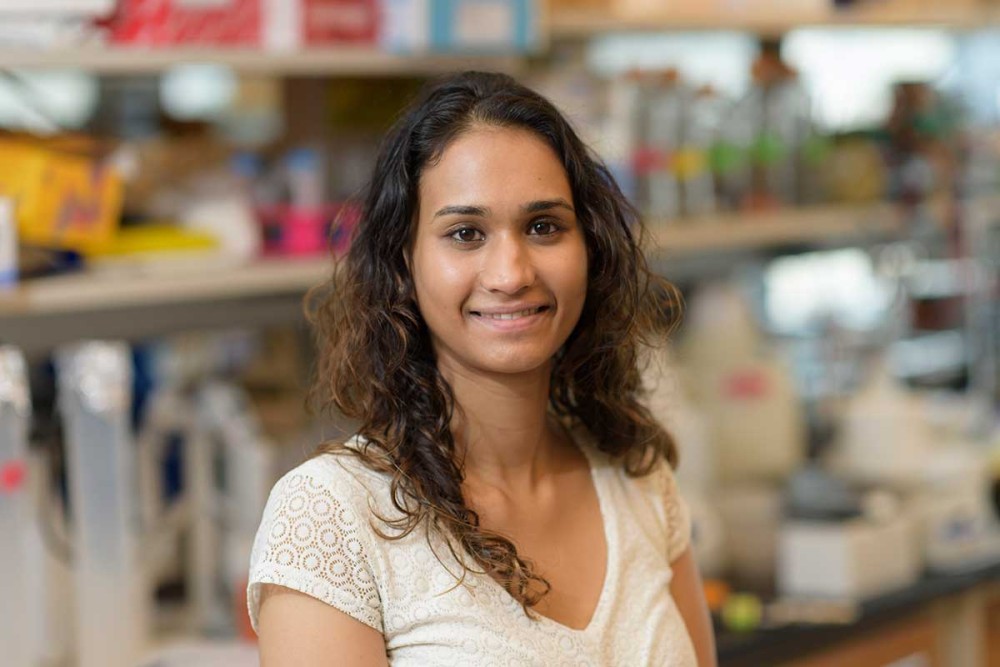 Sloan Kettering Institute Postdoc Spotlight: Swathi Iyer, Luis Parada ...